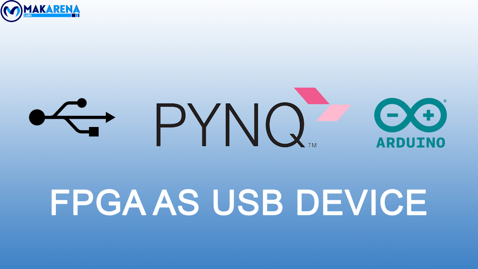 FPGA as USB Device with PYNQ - MakarenaLabs
