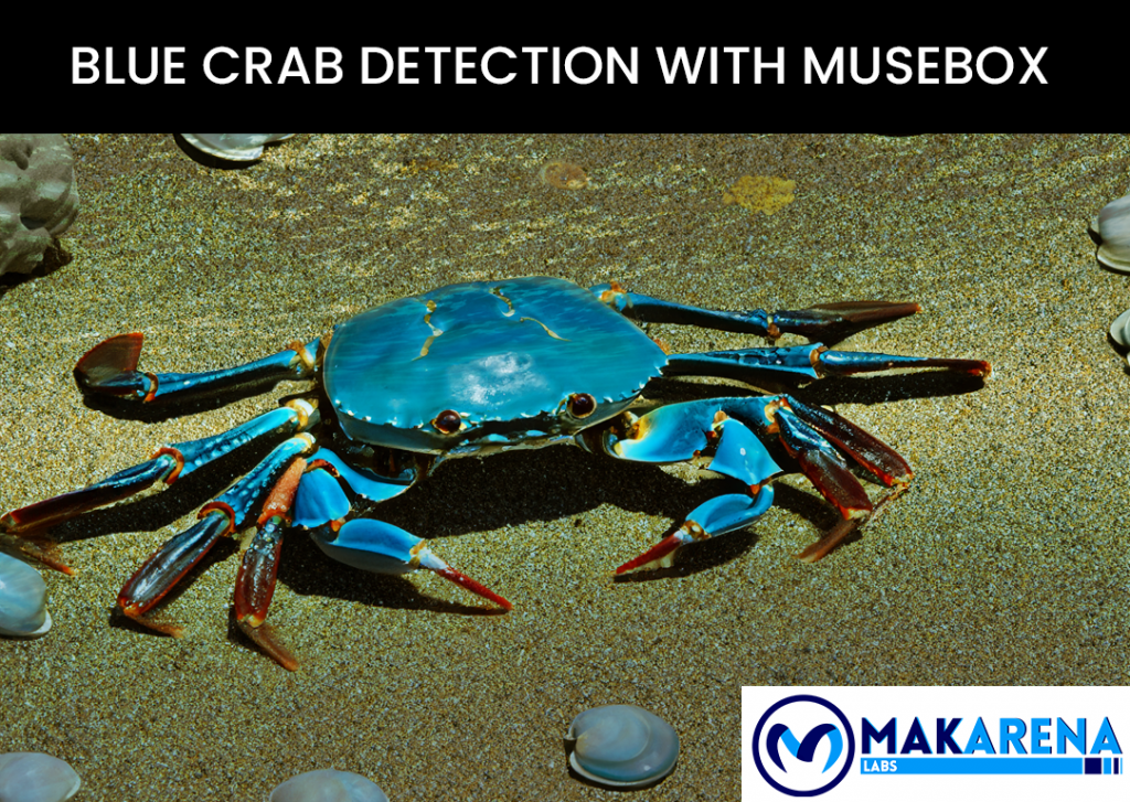 MuseBox super hero against Blue Crab invasion - MakarenaLabs